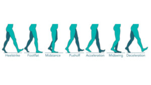 A Quick Rundown on Human Gait – The Mom & Caregiver